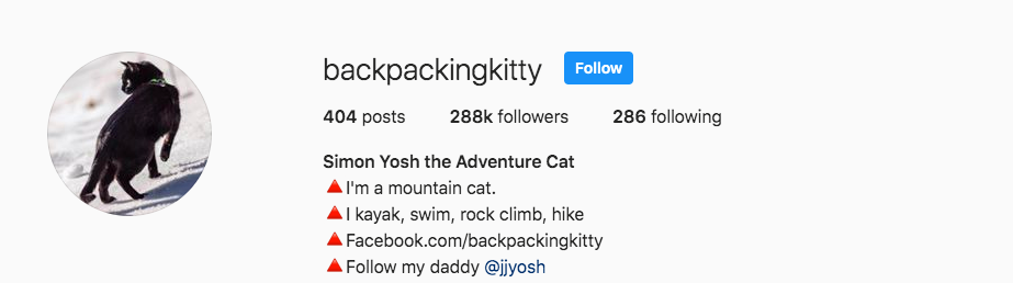 Here Are the Top Colorado Instagram Influencers of 2019