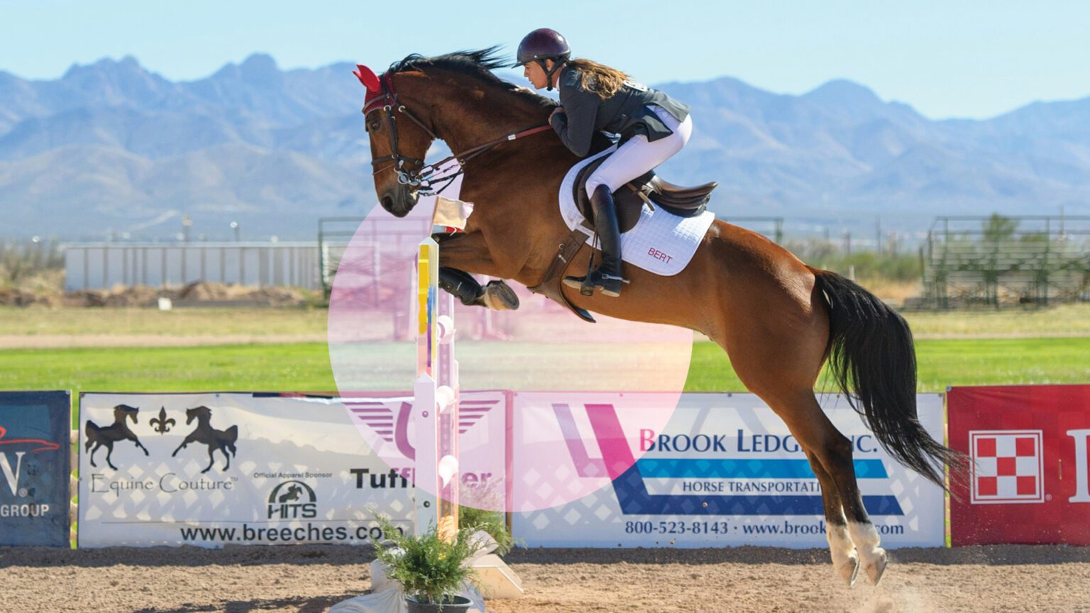 23 Equestrian Influencers Sharing Their Love of Horses - IZEA Worldwide ...
